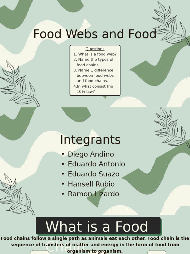 Food Webs and Food Chains | PDF