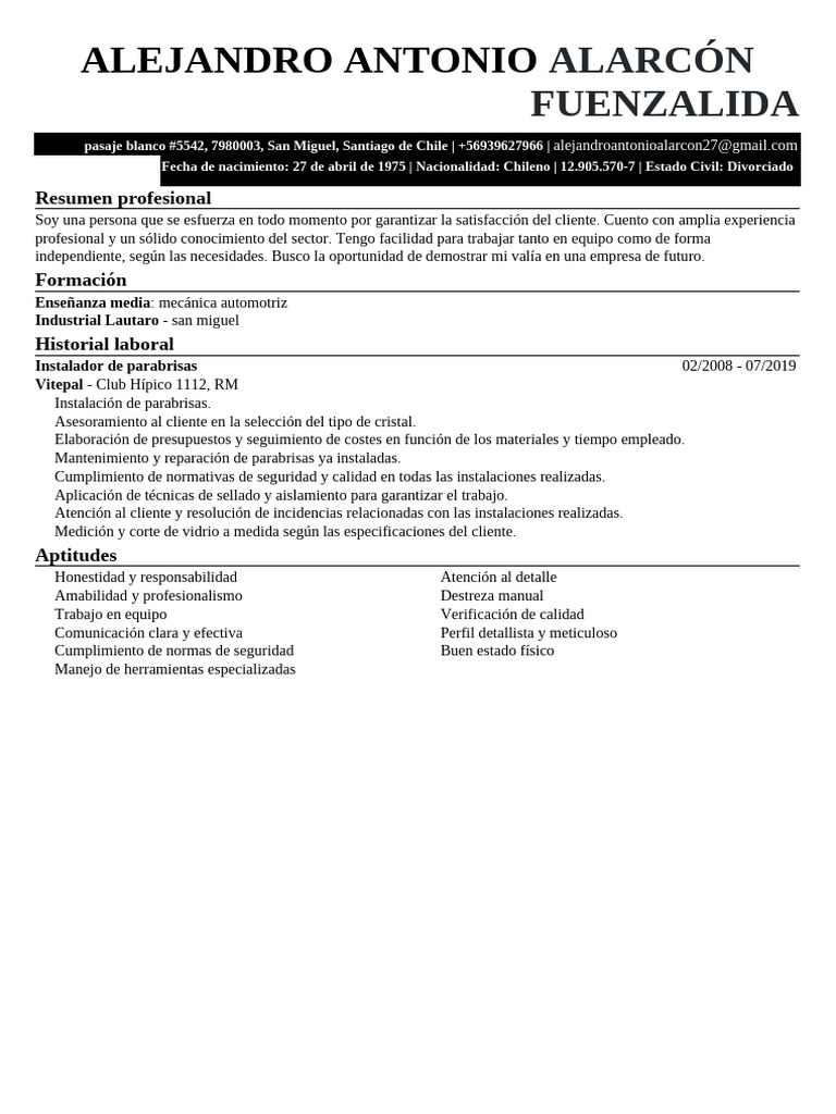 Curriculum Alejandro | PDF