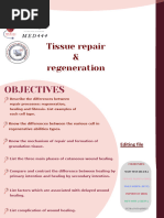 First vs. Second Intention Healing | PDF | Wound Healing | Scar