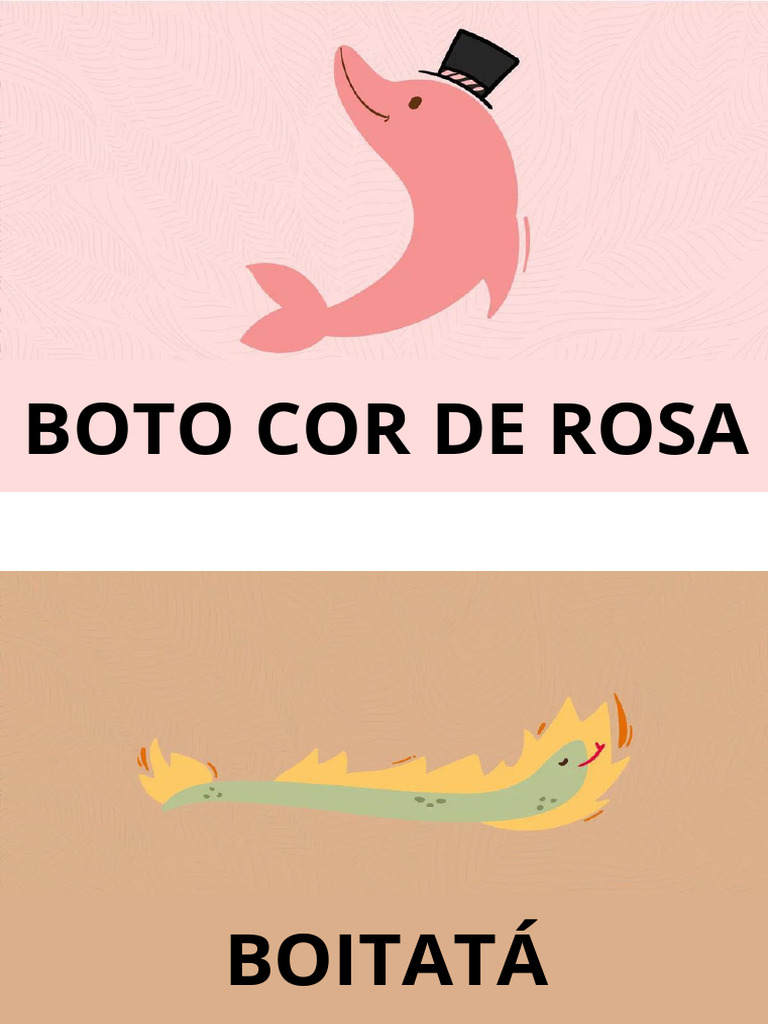 BOTO | PDF