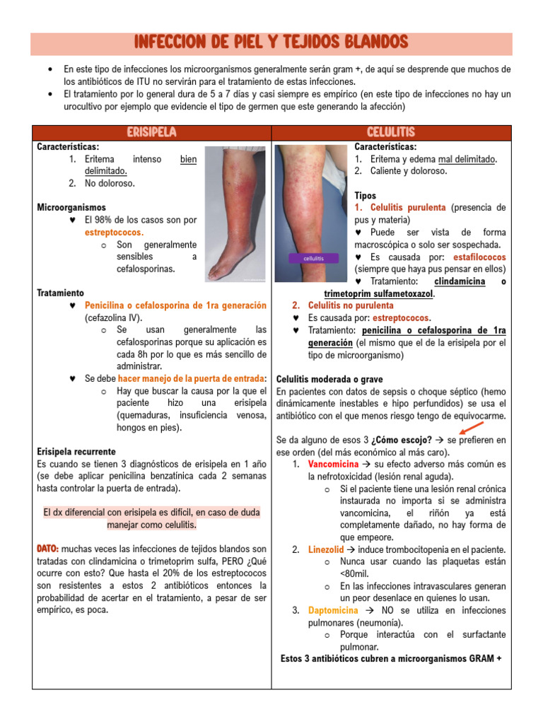 Infección de Piel y Tejidos Blandos Diagnostico y Tratamiento | PDF