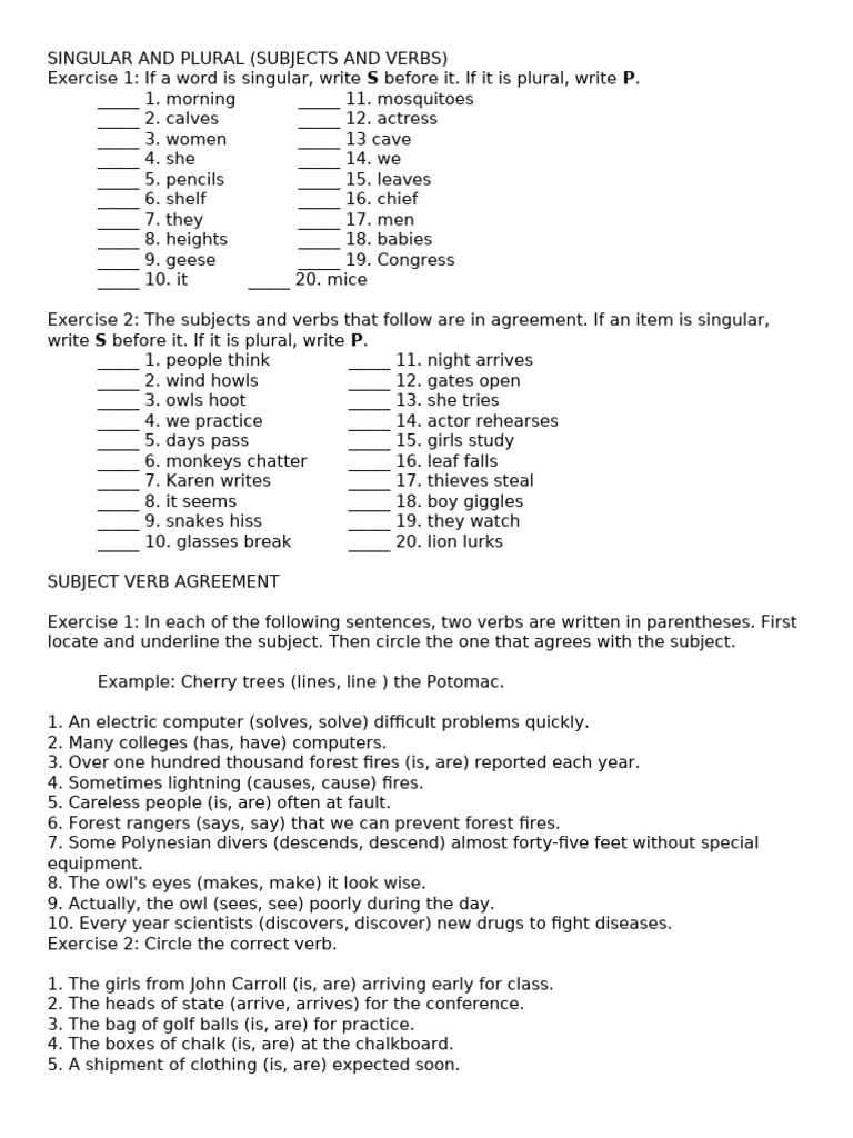 SUBJECT VERB AGREEMENT Grade 4 | PDF