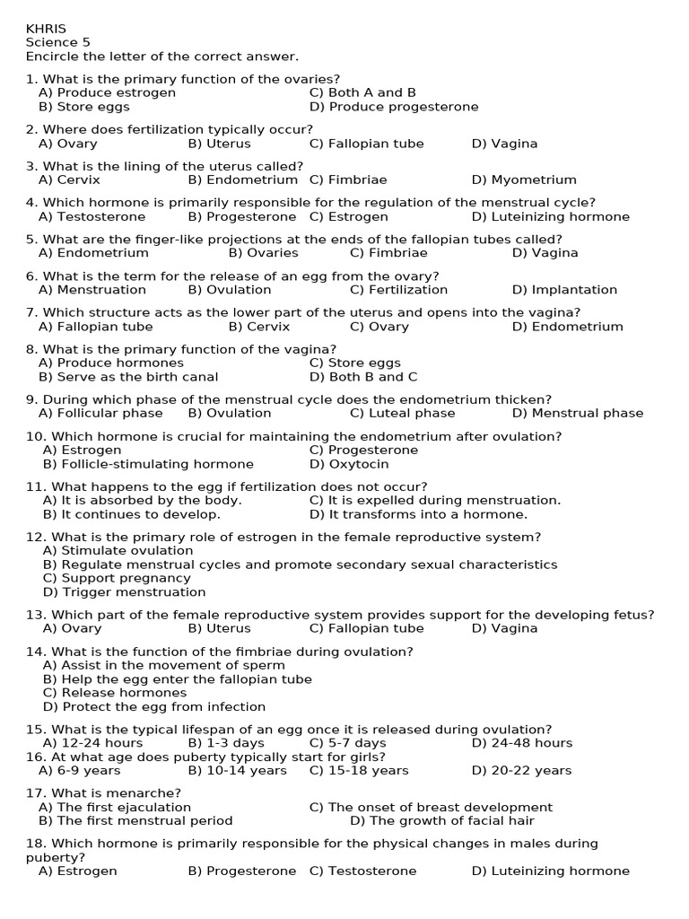 Fourth Quarterly Review Activity sheets | PDF