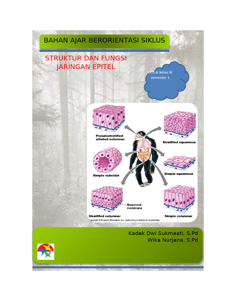 Bahan Ajar Epitel & Pengikat | PDF