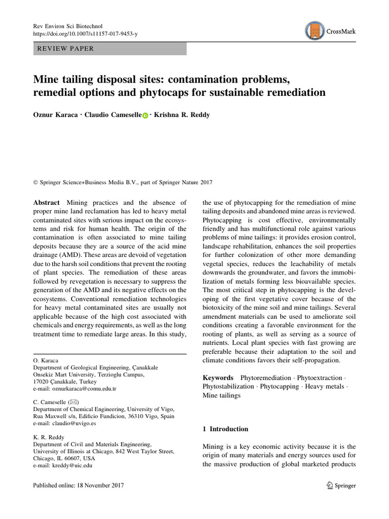 Mine Tailing Disposal Sites - Contamination Problems, Remedial Options ...
