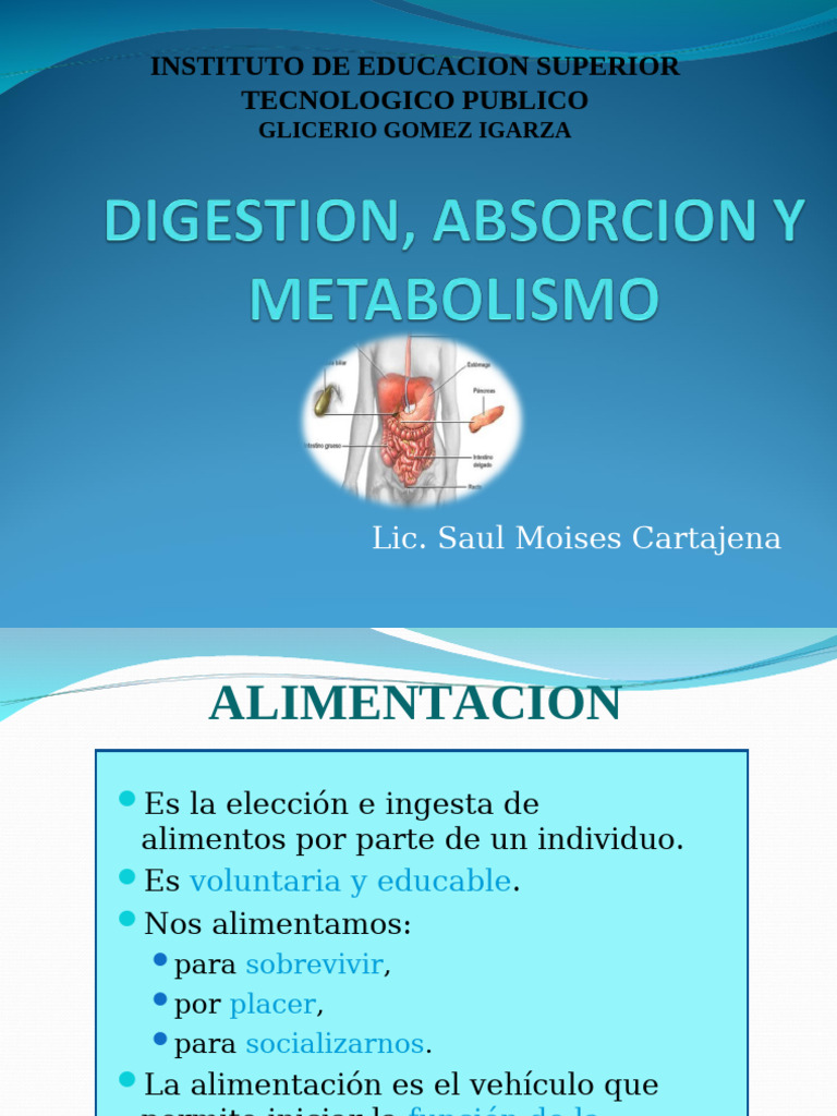 1 Disgestion Absorcion Metabolismo 1 | PDF | Gastroenterology | Wellness