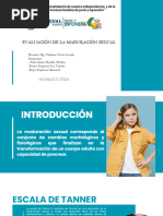 La Escala de Tanner | PDF