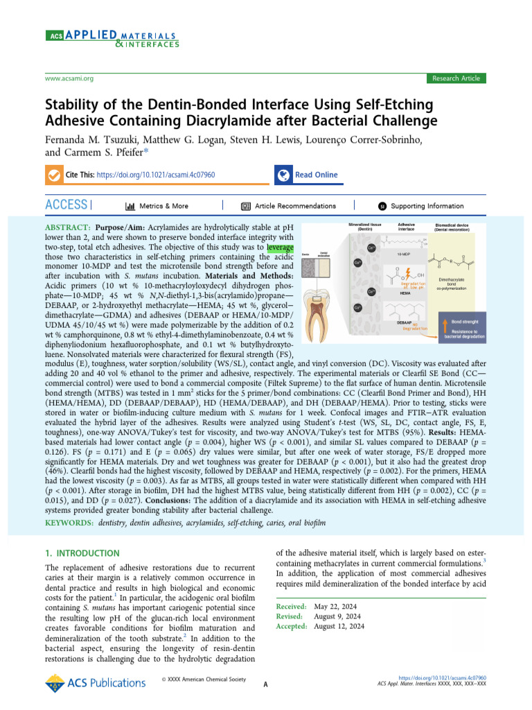 Tsuzuki Et Al 2024 Stability of the Dentin Bonded Interface Using Self ...