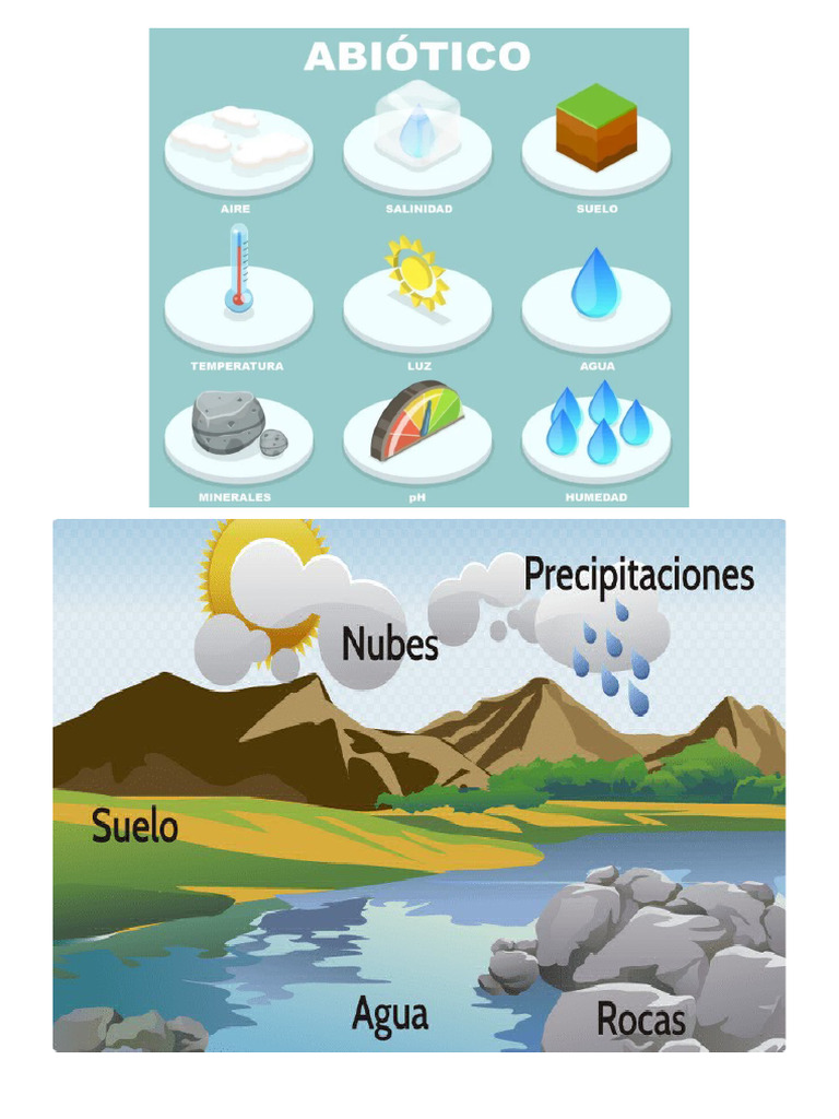 Abiotico y Ambiotico | PDF