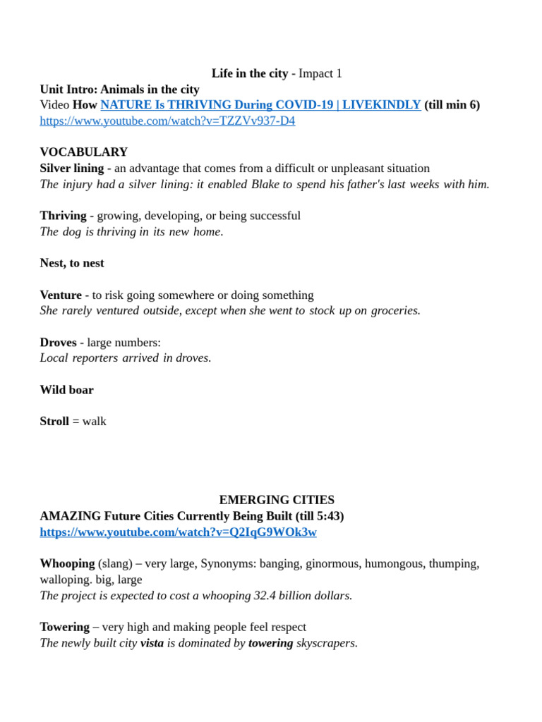 Life in The City | PDF | Young Adult