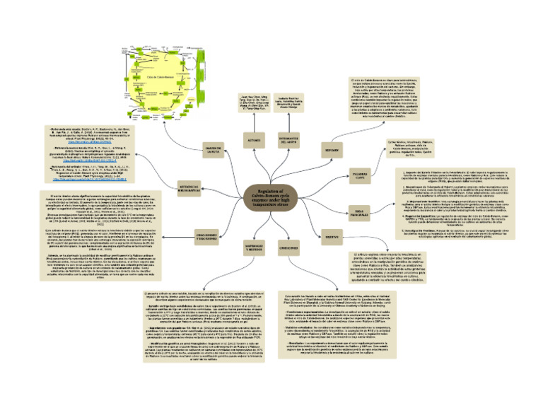 Diagrama Conceptual | PDF