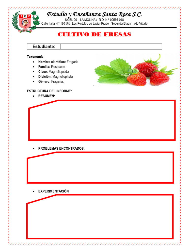 Cultivo de Fresas | PDF