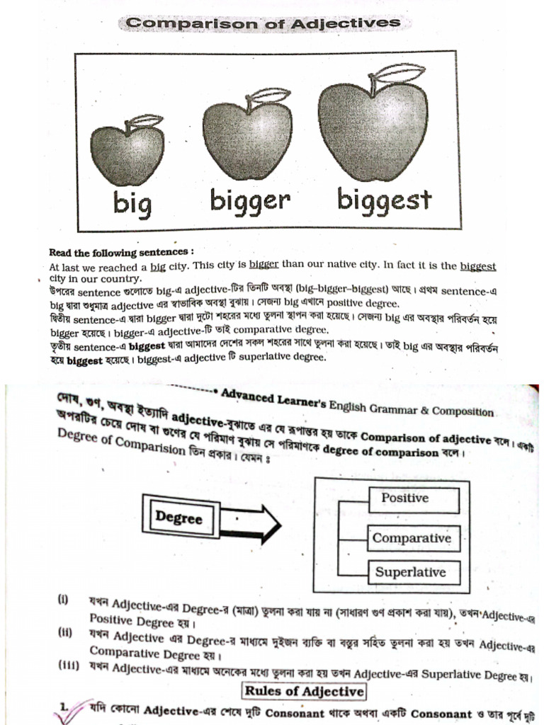 Degree, Article, Verb | PDF