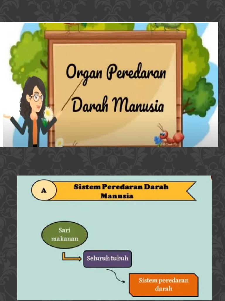 Bahan Les 8 Okt | PDF