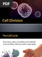 Mitosis and The Cell Cycle - Cell Division - AQA - GCSE Biology (Single ...