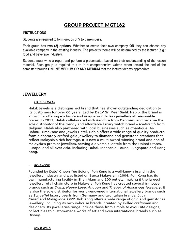 Group Project Mgt162.company | PDF