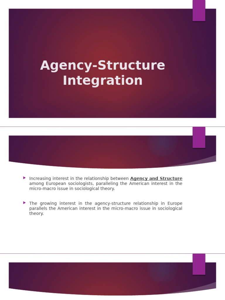 Agency Structure Integration | PDF
