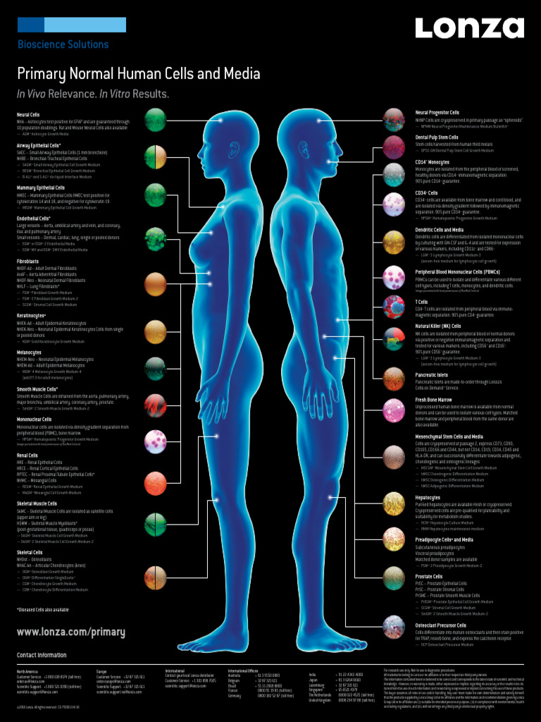 Primary Normal Human Cells and Media Primary Normal Human Cells and ...