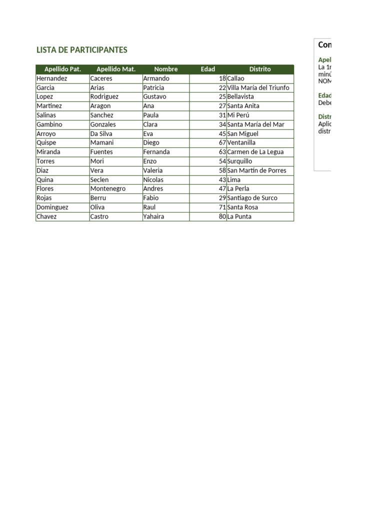 Validacion De Datos Excel Pdf 9721