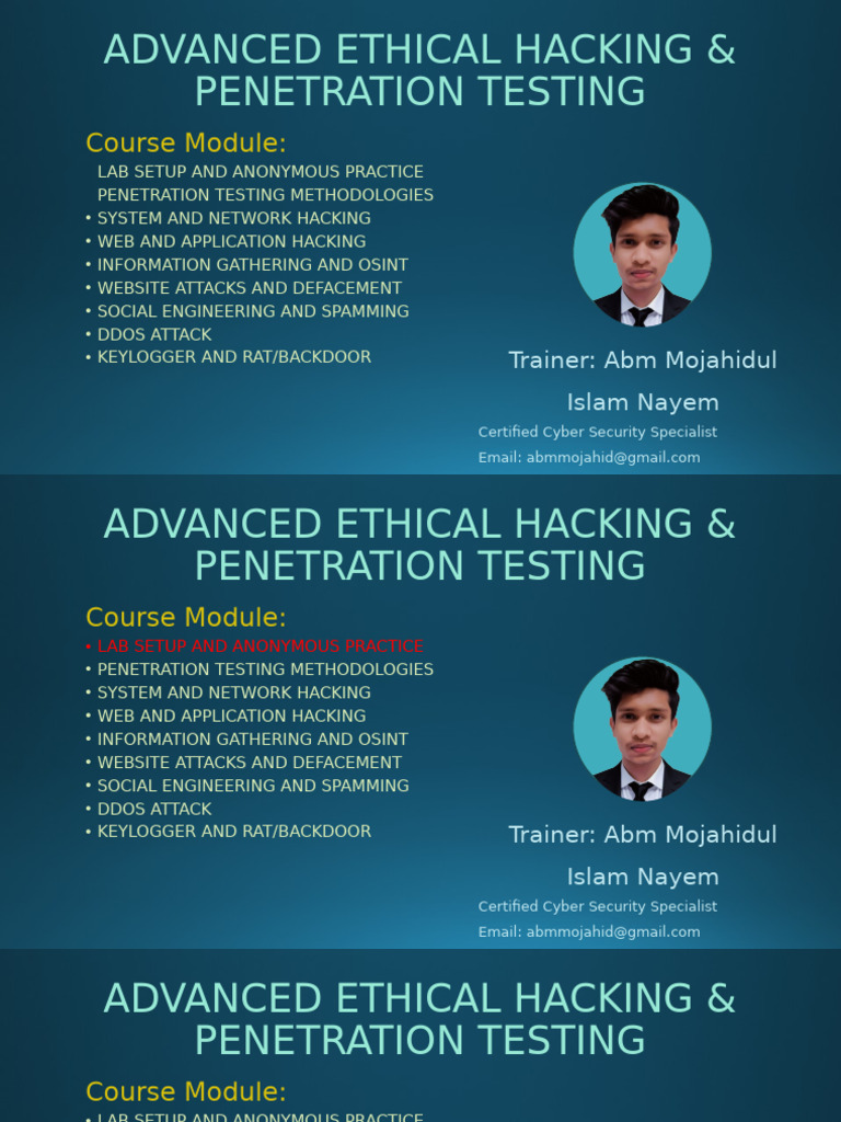 Penetration Testing Methodologies | PDF
