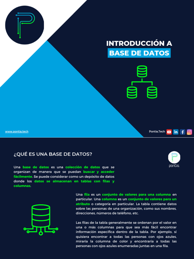 INTRODUCCION-A-BASE-DE-DATOS | PDF