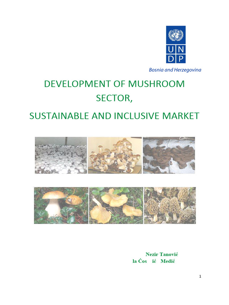 BiH Mushroom Study BiH | PDF