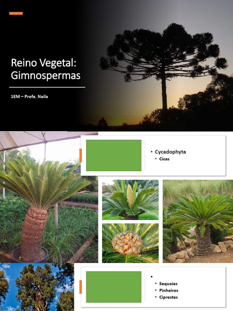 1EM - Bio A - M-Dulo 17 | PDF