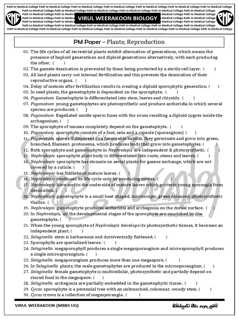 PM Paper Plants Reproduction EM | PDF