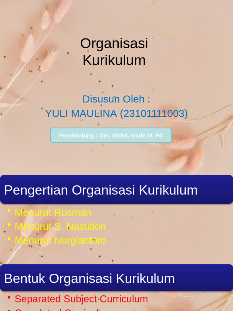 Yuli Maulina (23101111003) Organisasi Kurikulum | PDF