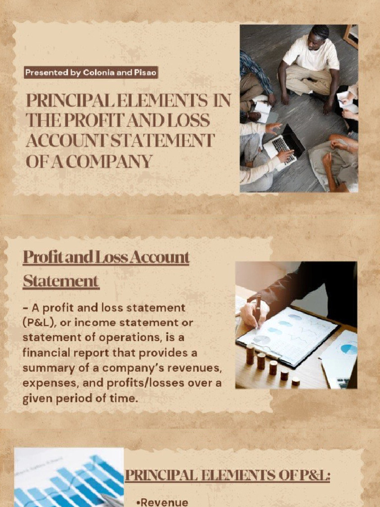 PL Statement Report 2.0 | PDF