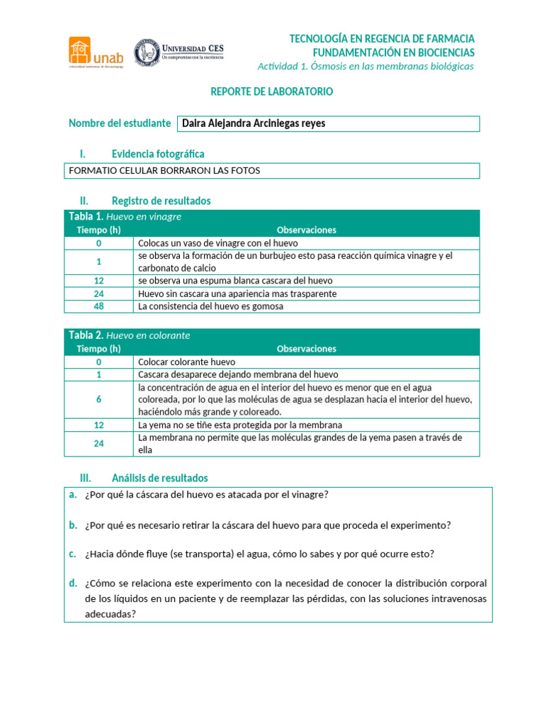 Trabajo Mandar | PDF