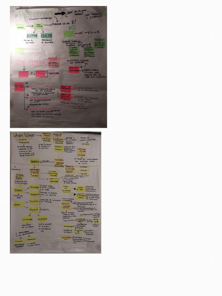 Mapas Psicología QUATTROCHI | PDF