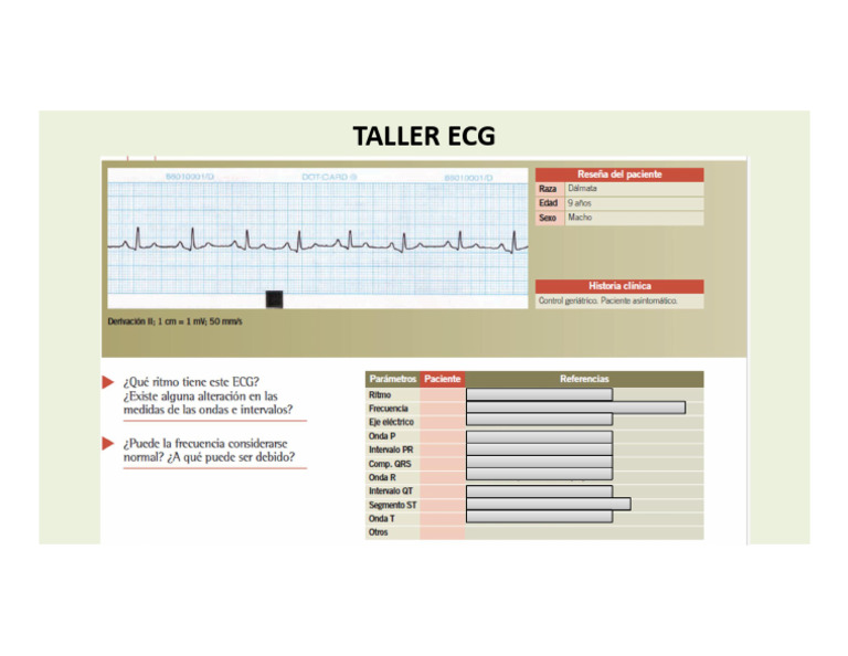 Taller ECG Diap | PDF