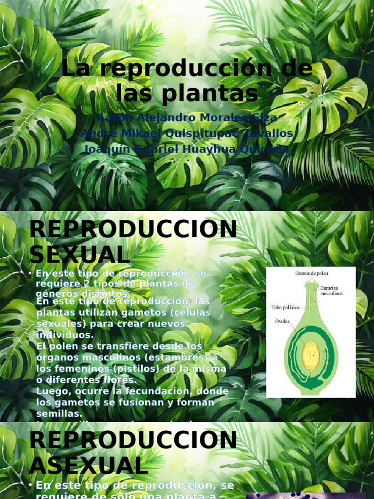 La Reproducción de Las Plantas | PDF