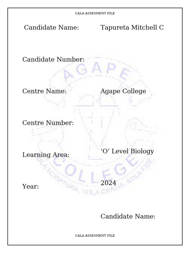 Candidate Name 123 | PDF