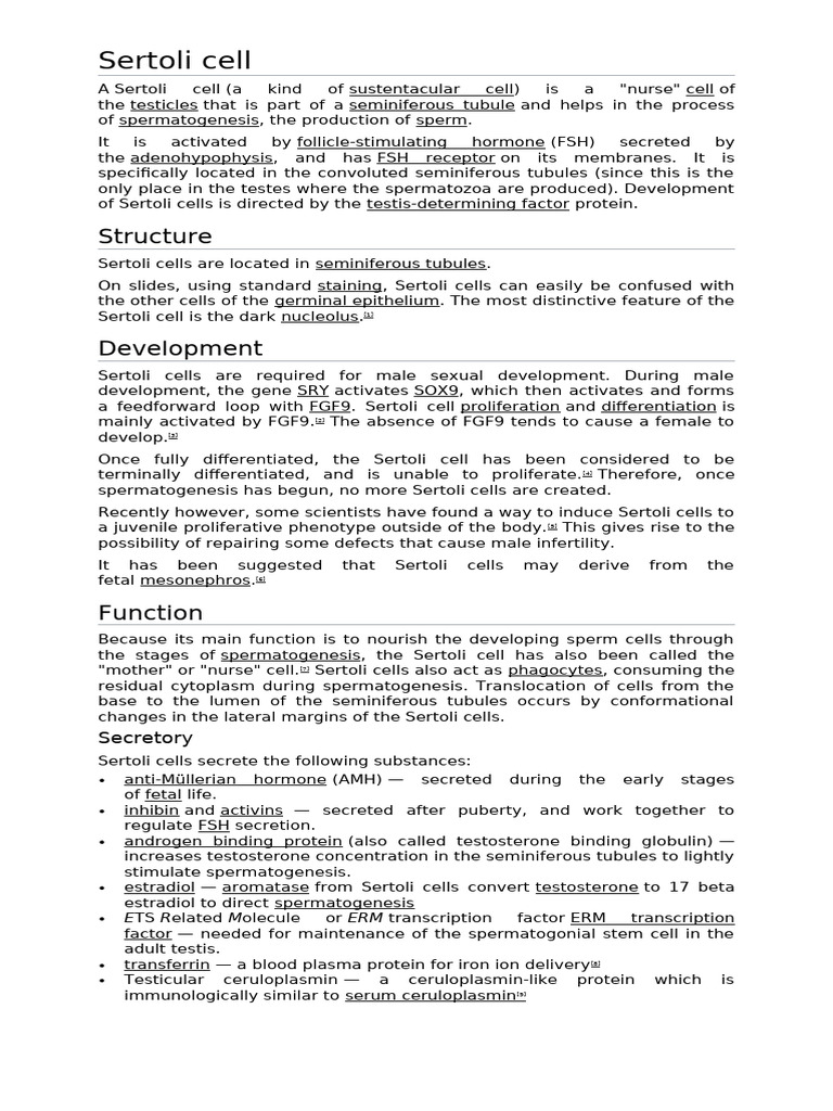 02. Sertoli Cells (Structure, Development, Function Etc) | PDF