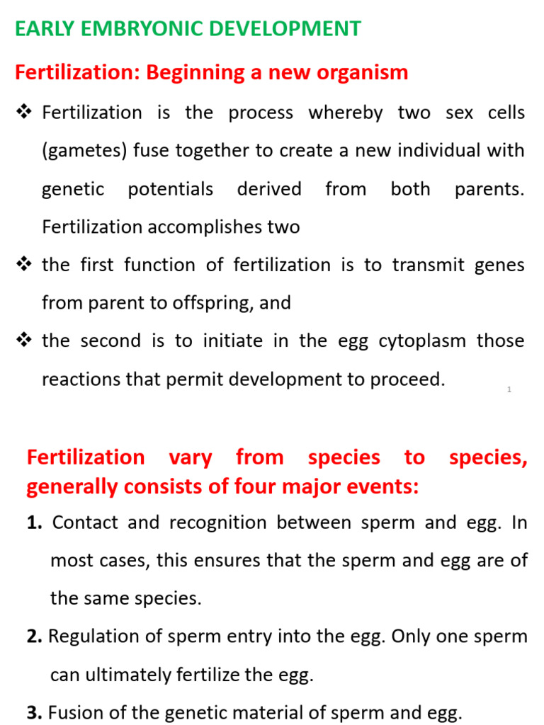 07. Fertilization and Early Embryonic Development | PDF