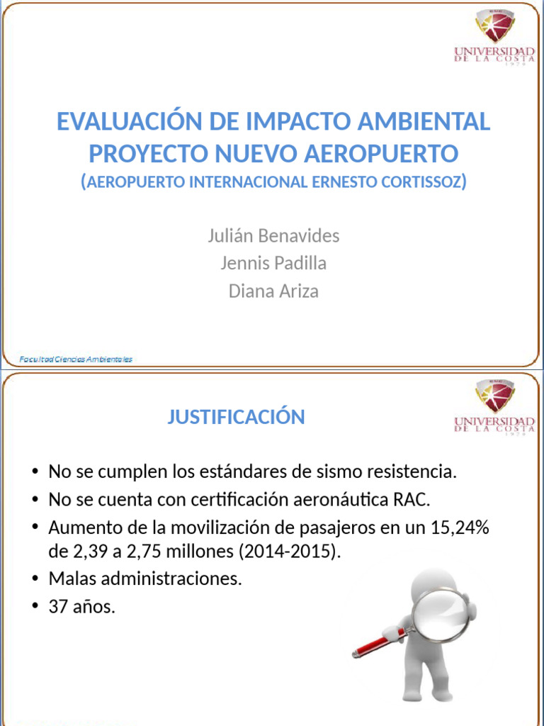 Evaluación de Impacto Ambiental Proyecto Nuevo Aeropuerto | PDF