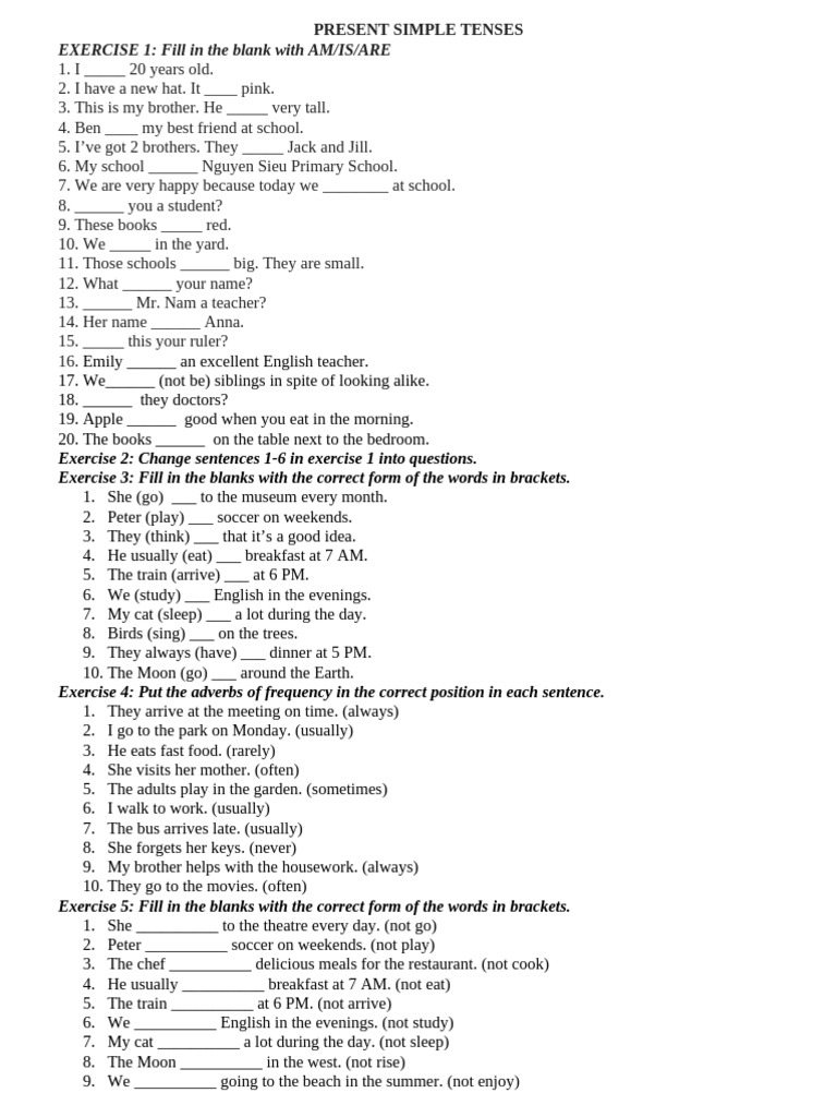 Present Simple Exercise Hay | PDF