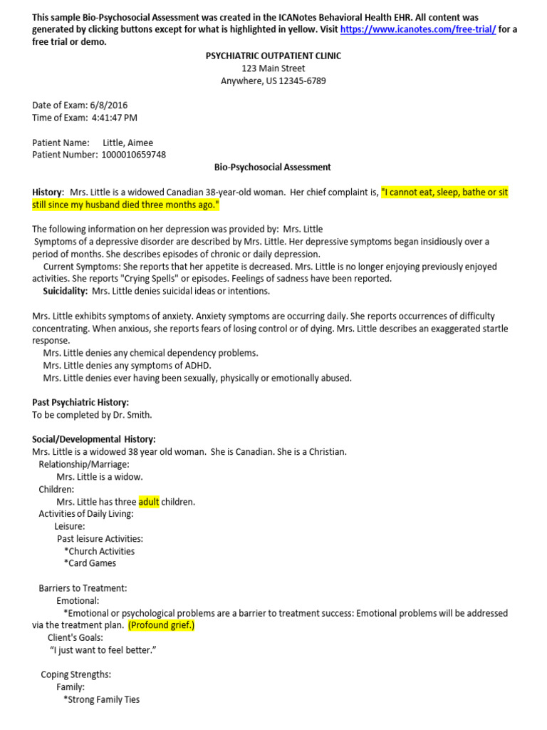 BIO PSYCHOSOCIAL Assessment Outpatient | PDF