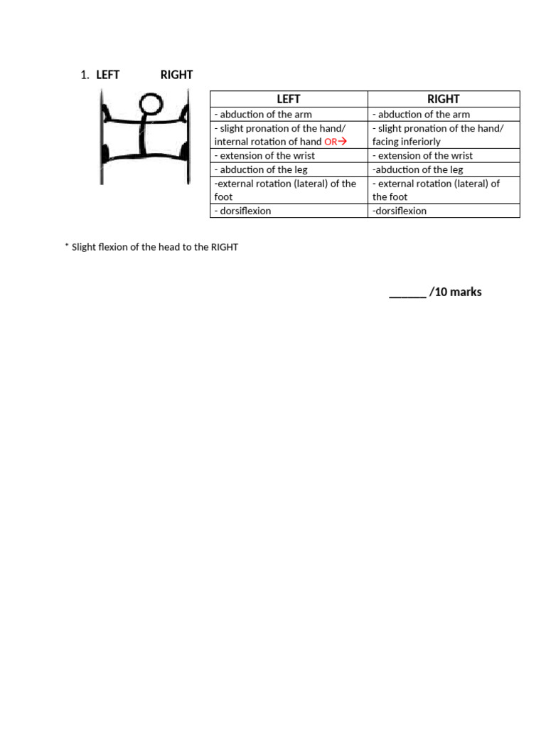 Stick Figure - EXAMPLE | PDF