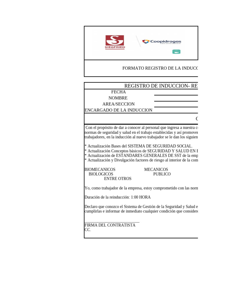 FORMATOS DE INDUCCION Y REINDUCCION SST | PDF