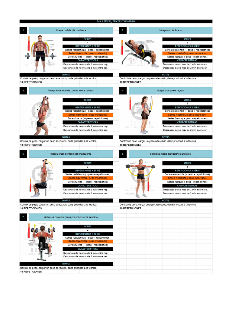 Dia 1 biceps triceps hombro | PDF