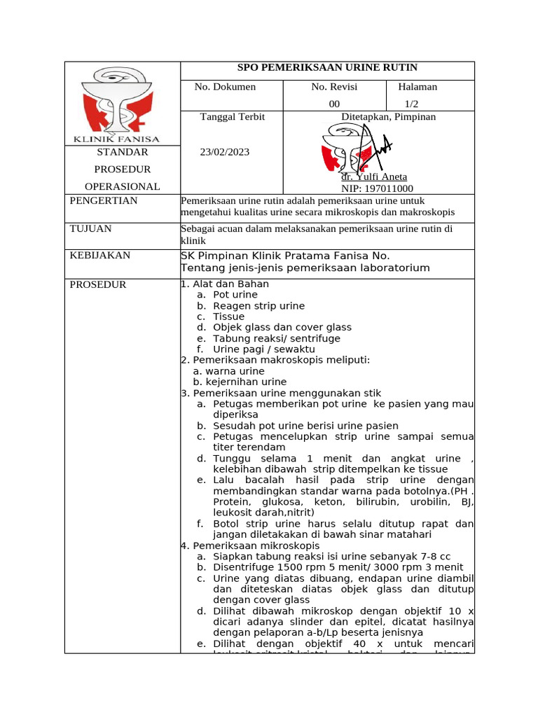Spo Pemeriksaan Urine Rutin | PDF