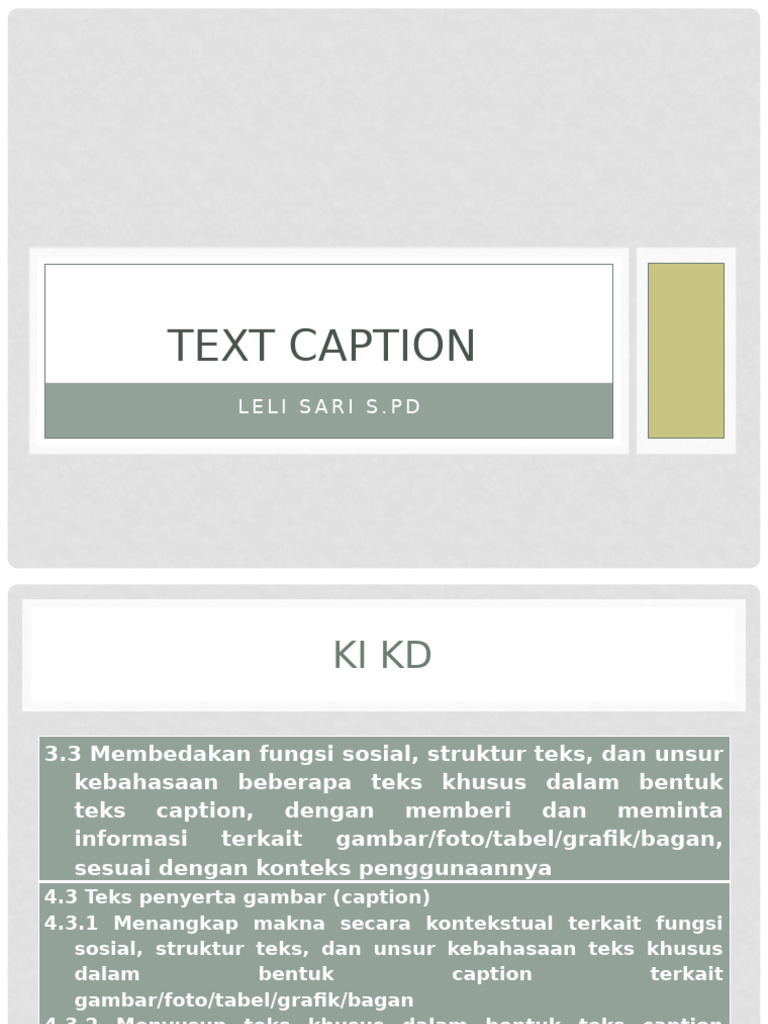 Text Caption | PDF