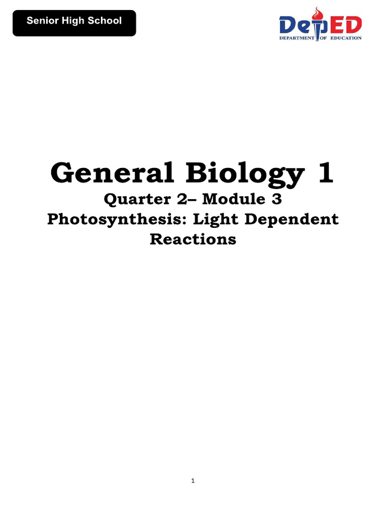 BIO-Light-Dependent-part-2 | PDF