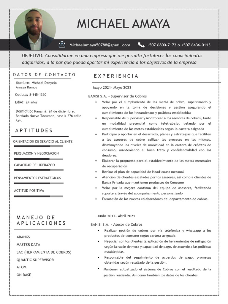 CV, Michael Amaya | PDF