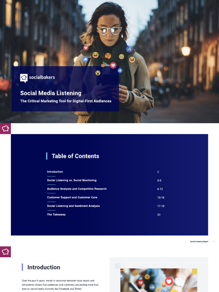 Social Media Listening Report | PDF