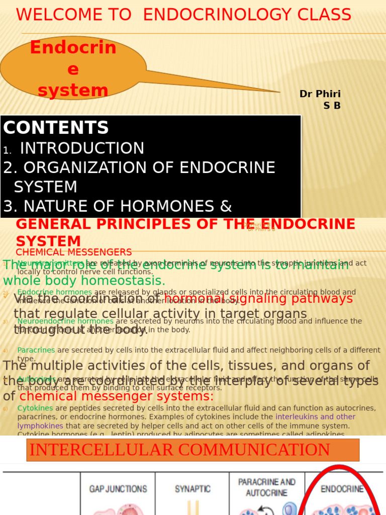 Endocrine Lecture One | PDF