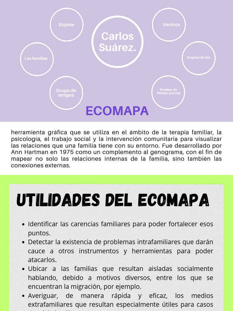 Ecomapa | PDF